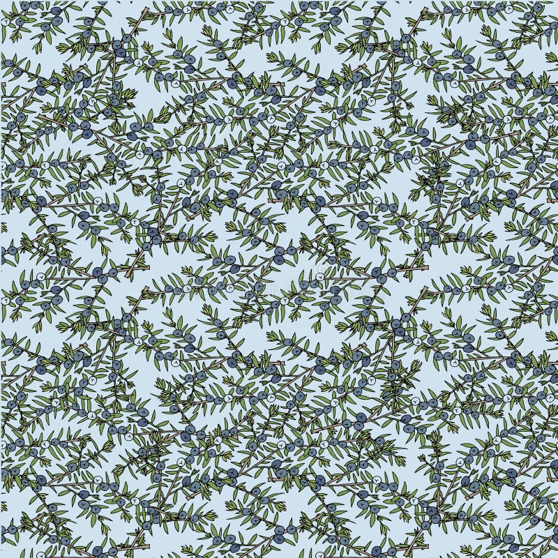 Juniper Branch Seamless Pattern, Cone, Art Design Elements Nature ...