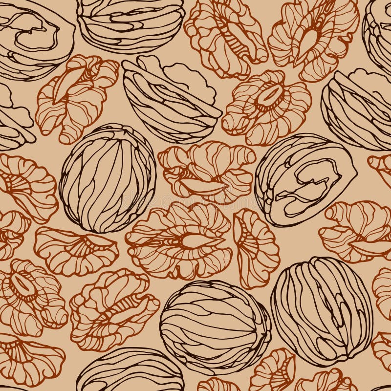 Abstract Seamless Pattern of a Set of Walnuts & Kernels, for Menu ...