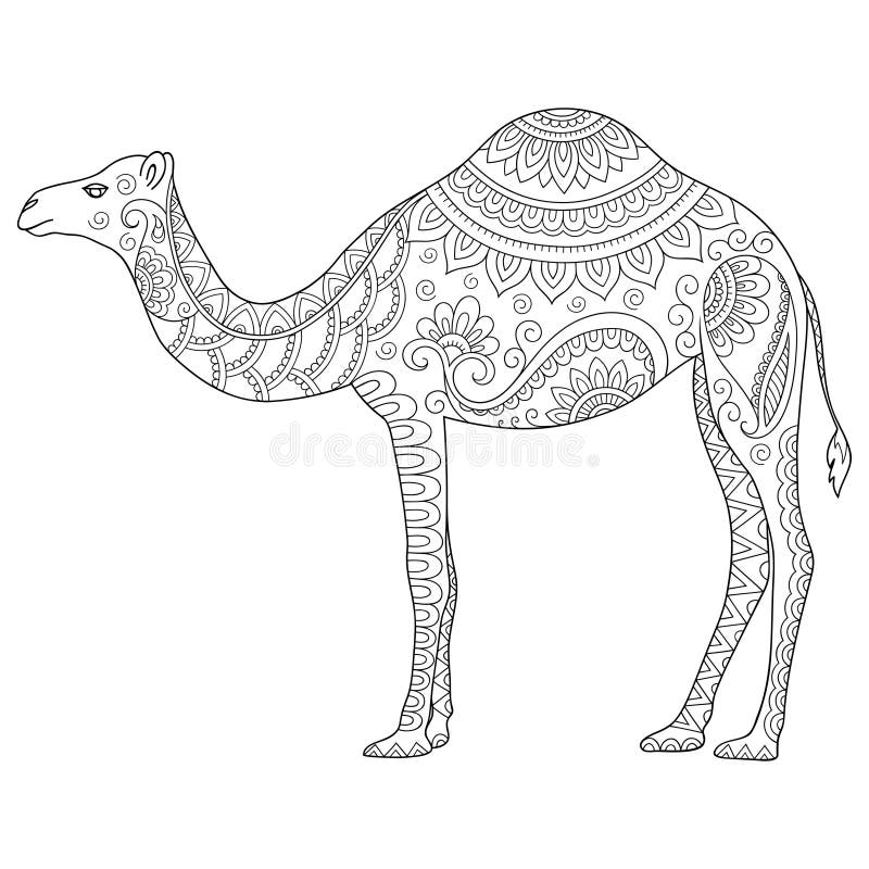 Doodle Camel Illustration Hand Drawn Style Vector Isolated Stock Vector ...