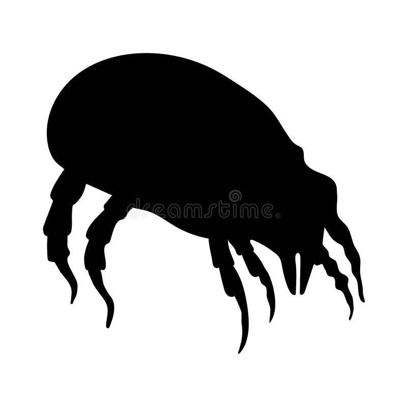 Infected Scabies Stock Illustrations – 11 Infected Scabies Stock ...