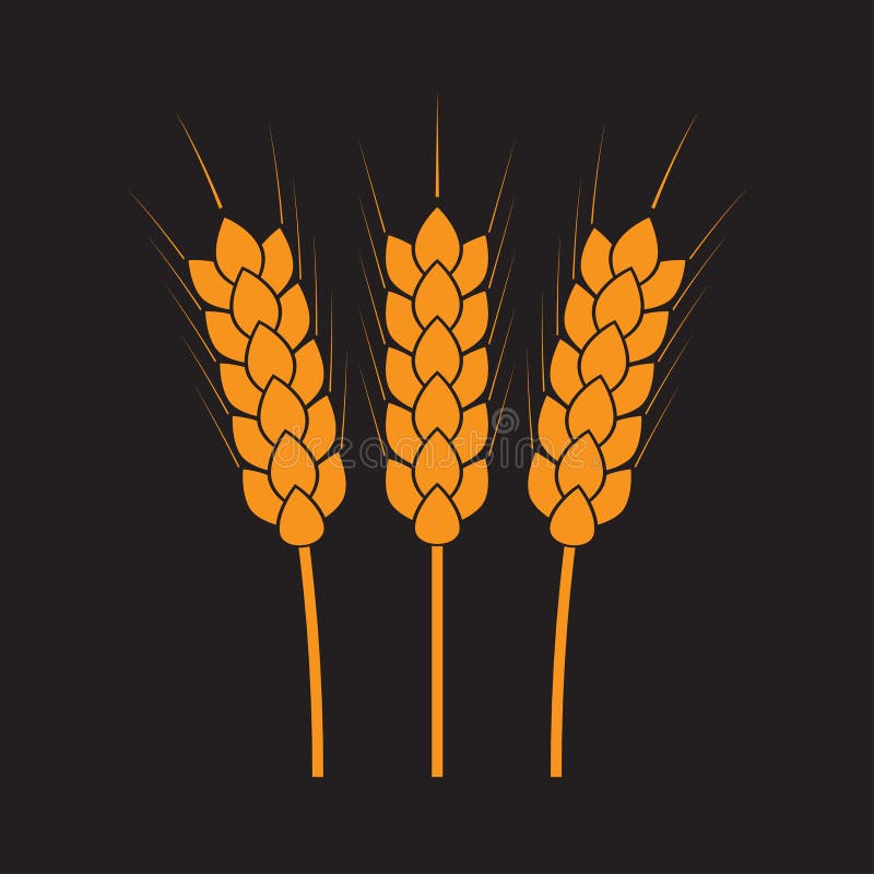 Rice. Crop Symbol. Rice or Wheat Ears Design Element. Agriculture Grain ...