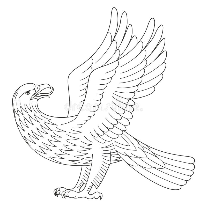 Eagle with Rising Wings. Heraldry Stock Vector - Illustration of bird ...