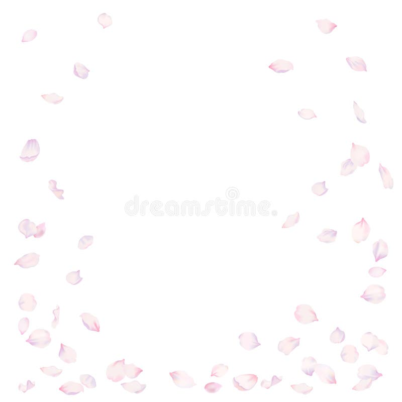 Falling Sakura Petals. Spring Cherry Blossom. Pink Cherry Blossoms ...