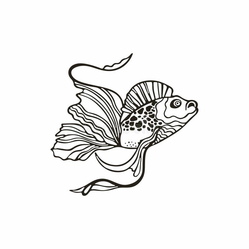 Aquarium Fish Line Drawing Stock Illustrations – 8,122 Aquarium Fish ...