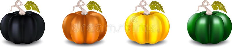 Set of Multi-colored Realistic Pumpkins. Stock Vector - Illustration of ...