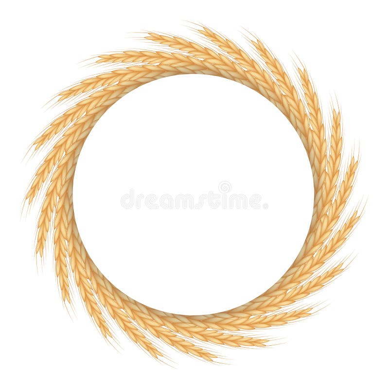 Round Frame Made of Spikelets of Ripe Wheat. Stock Vector ...
