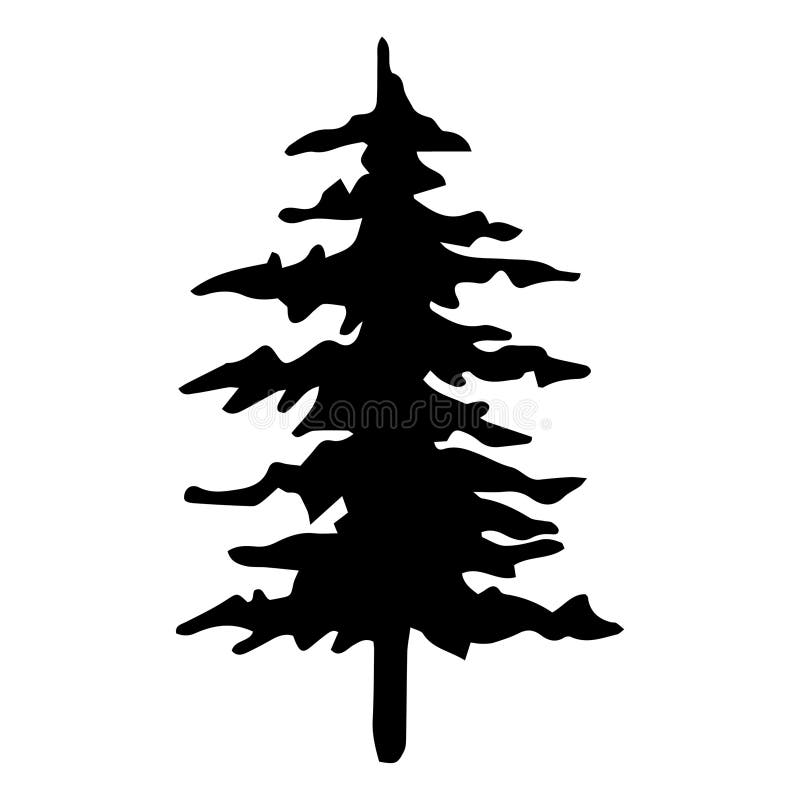 Christmas Trees, Fir, Hand Drawing, Frontal View. Architectural Ink ...