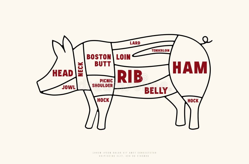 Pork Shoulder Line Drawing Stock Illustrations – 12 Pork Shoulder Line ...
