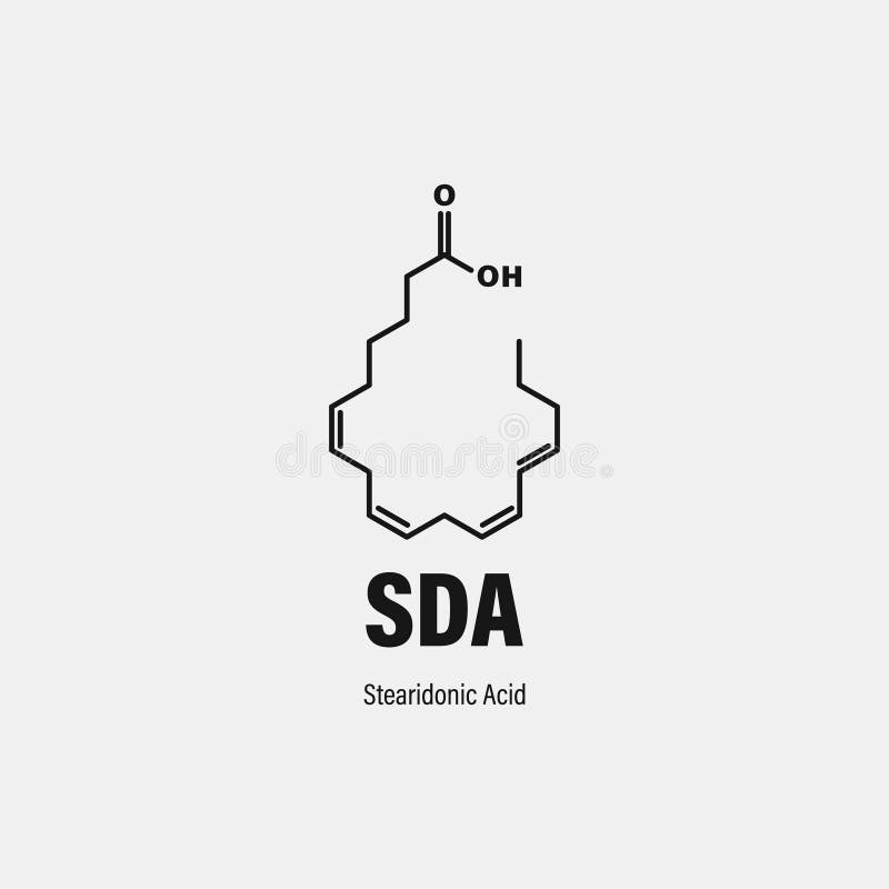 Stearidonic Acid, Moroctic Acid, SDA Molecule. Structural Chemical ...