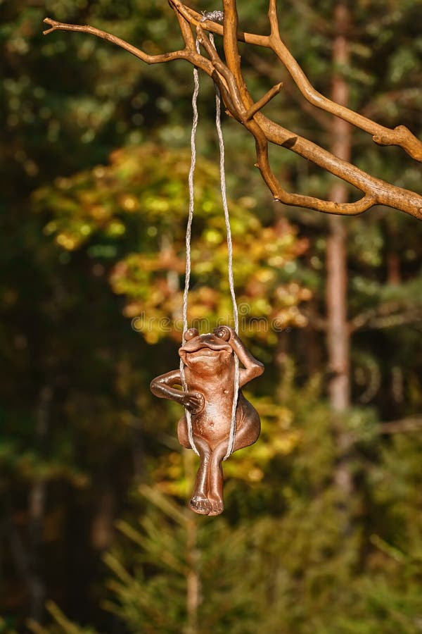 917 Frog Hanging Stock Photos - Free & Royalty-Free Stock Photos from ...