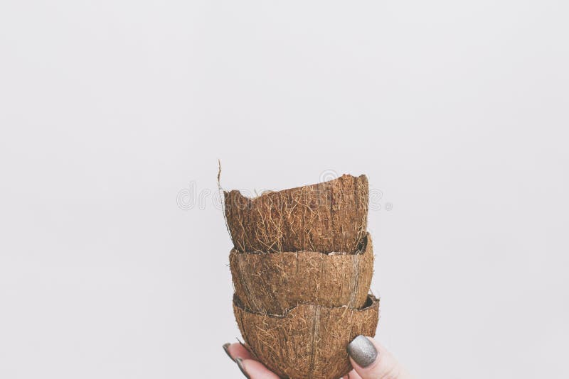 Ð¡oconut Shell Halves in a Row Stock Image - Image of slice, shell ...