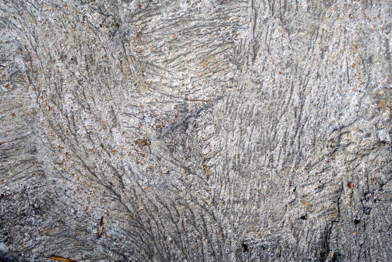 Ð¡oncrete Surface Texture and Background Stock Photo - Image of vintage ...