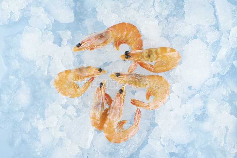 Сooked Shrimp Lie on Ice. Frozen Shrimp Stock Photo - Image of yellow ...