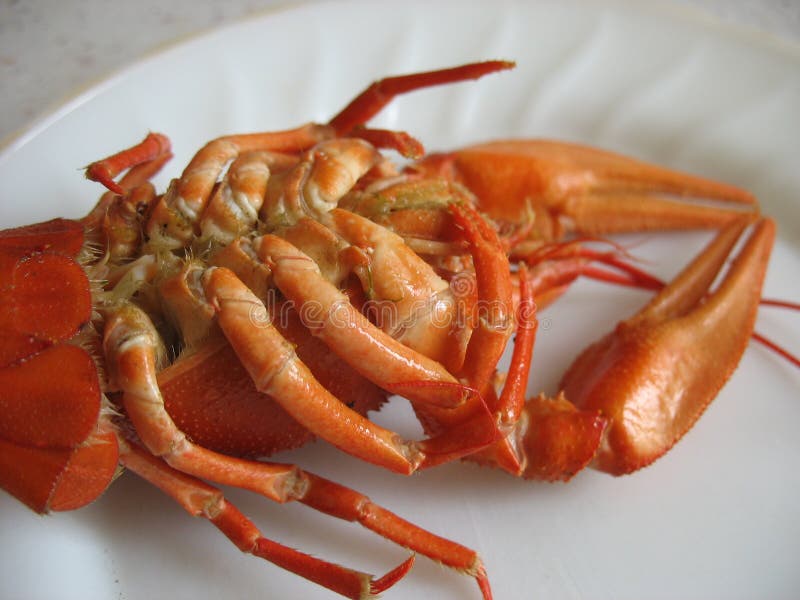 Crayfish Upside Down View on a Parquet Floor Stock Image - Image of ...