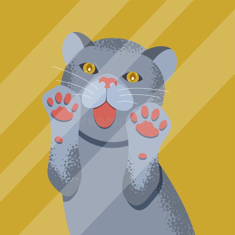 Ð¡ute British Cat Behind Glass. Vector Illustration Stock Vector ...