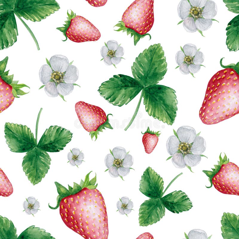 5035 Ð¡ute Seamless Pattern with Isolated Elements of Watercolor ...
