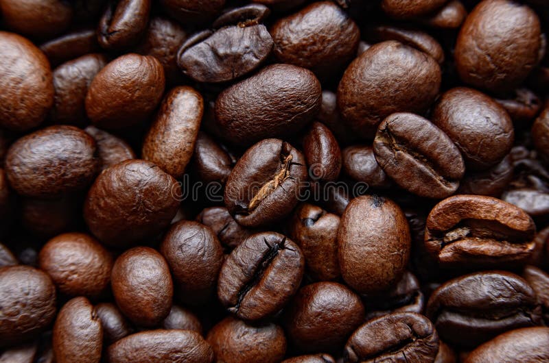 Sunflower Core with Transparent Oil Drops Against Blue Sky Stock Photo ...