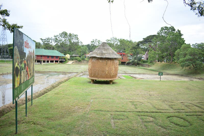 ‘Vee Bissa ‘en Sri Lanka imagen editorial. Imagen de viejo - 134353995