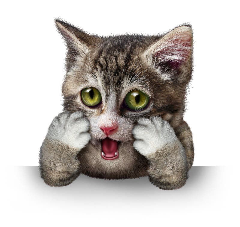 惊奇的猫 库存例证. 插画 包括有 恐惧, 想法, 重婚, 关心, 国内, 逗人喜爱, 火熊熊, 字符, 滑稽 - 48005202