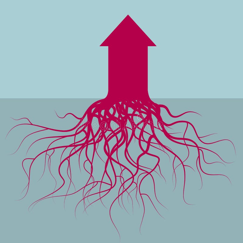 Arrow root plant isolated stock vector. Illustration of asian - 84725824