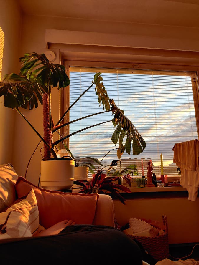 Sunset at home 库存图片. 图片 包括有 木头, 家具, 黄色, 楼层, 房子, 玻璃, 日落 - 246829589