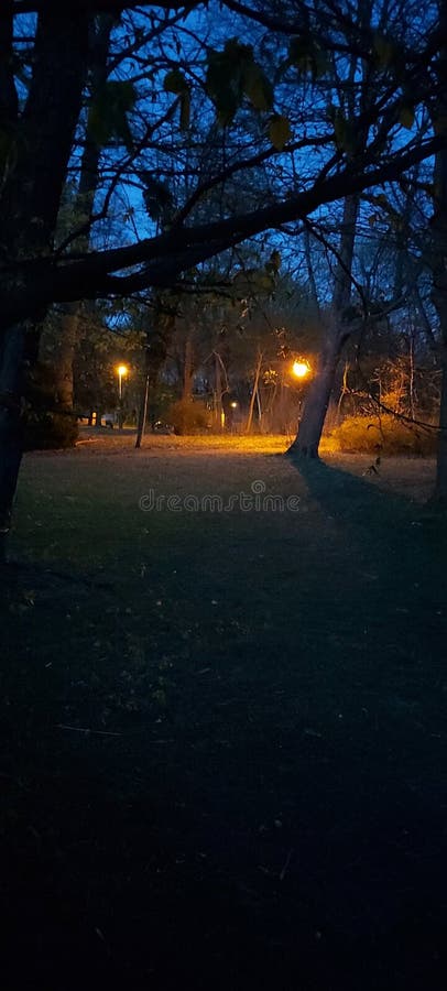 Light morning streetlight 库存图片. 图片 包括有 玻璃, 夜间, 艺术, 街灯 - 203328649