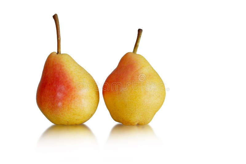 Two pear 库存图片. 图片 包括有 纵向, 空白, 背包, 果子, 有气味, 生活方式, 对象, 成熟 - 4572319