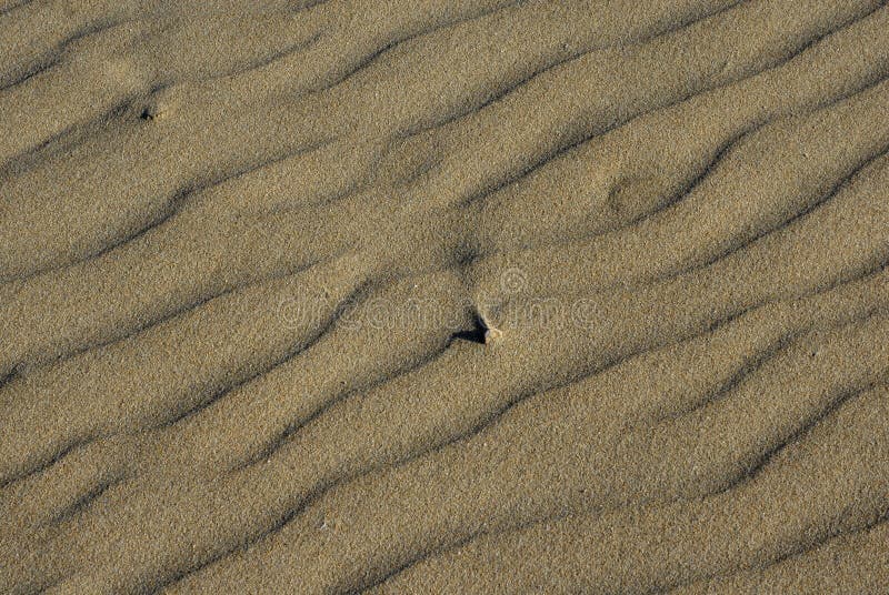 Desert 库存图片. 图片 包括有 模式, 海景, 感激的, 自然, 含沙, 海滨, 背包, 火箭筒, 节假日 - 2460471