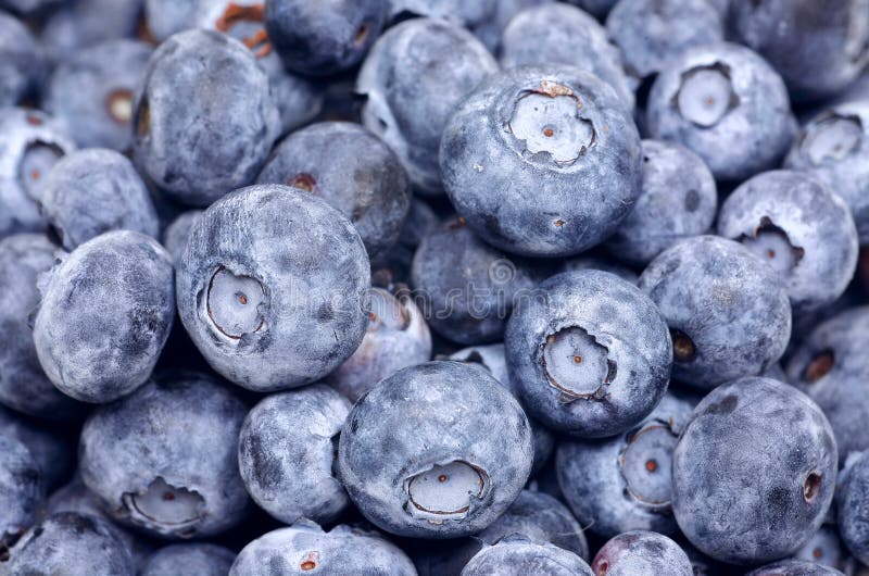 背景蓝莓 库存照片. 图片 包括有 本质, 果子, 自然, 健康, 甜甜, 可口, 新鲜, 蓝色, 食物, 查出 - 5722000