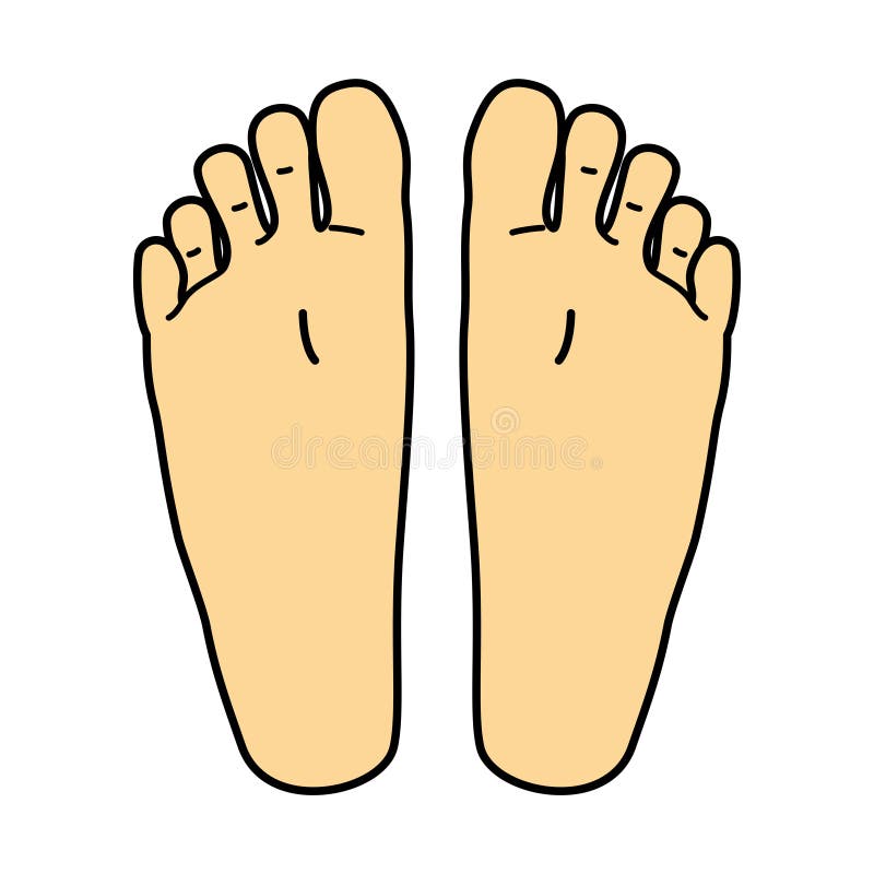 Bare Foot, Bottom of Foot, Illustration Stock Photo - Illustration of ...