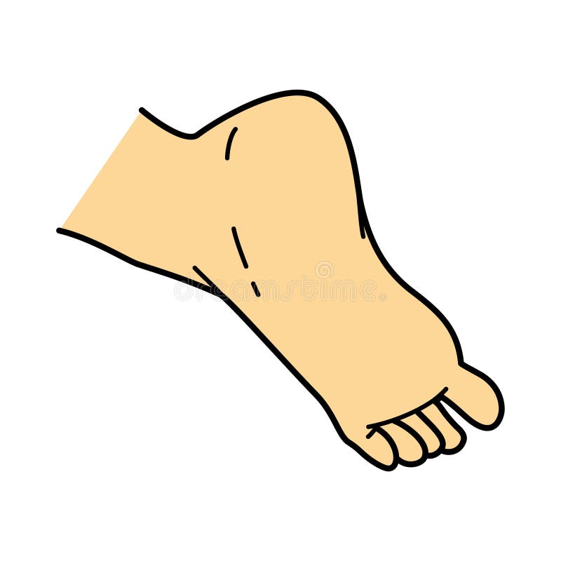 Bare Foot, Bottom of Foot, Illustration Stock Photo - Illustration of ...