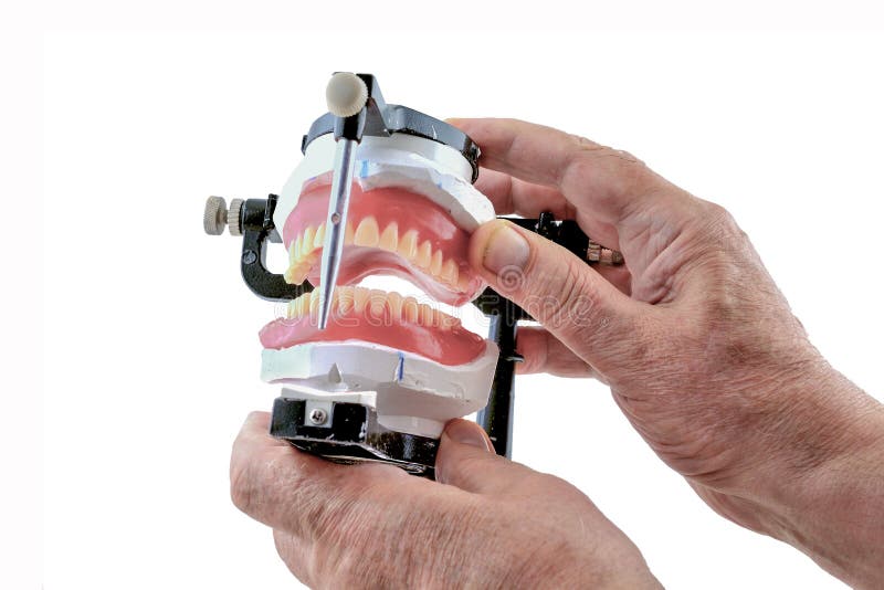 Â Checking and Setting Teeth of Dentures Stock Photo - Image of health ...
