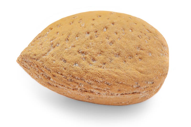 Â Almond Nut in Shell Isolated on White Background Stock Image - Image ...