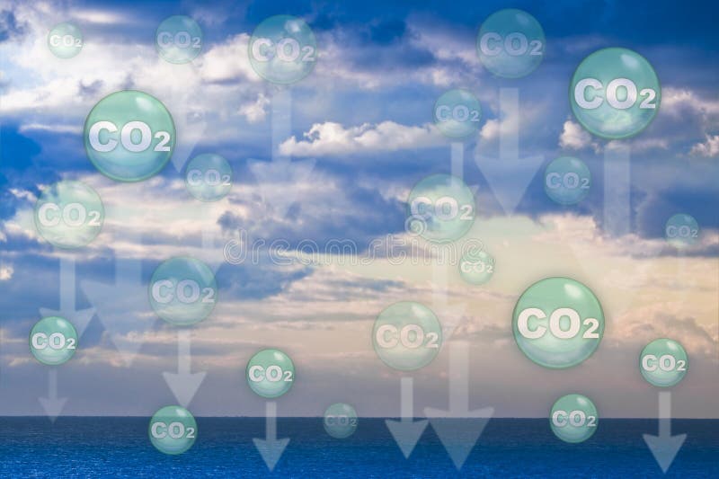 1 3 of Anthropogenic CO2 Carbon Dioxide Emissions are Absorbed by the ...