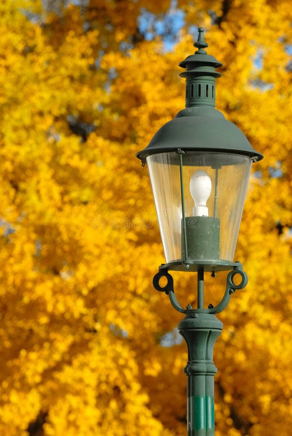 Japansk regnkedja arkivfoto. Bild av prydnad, metall - 31618440