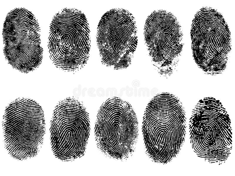 10 FingerPrints stock vector. Illustration of digital - 8241635