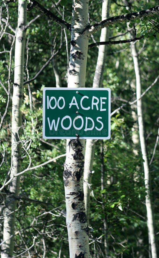 100 Acre Woods Sign Picture. Image: 5708990
