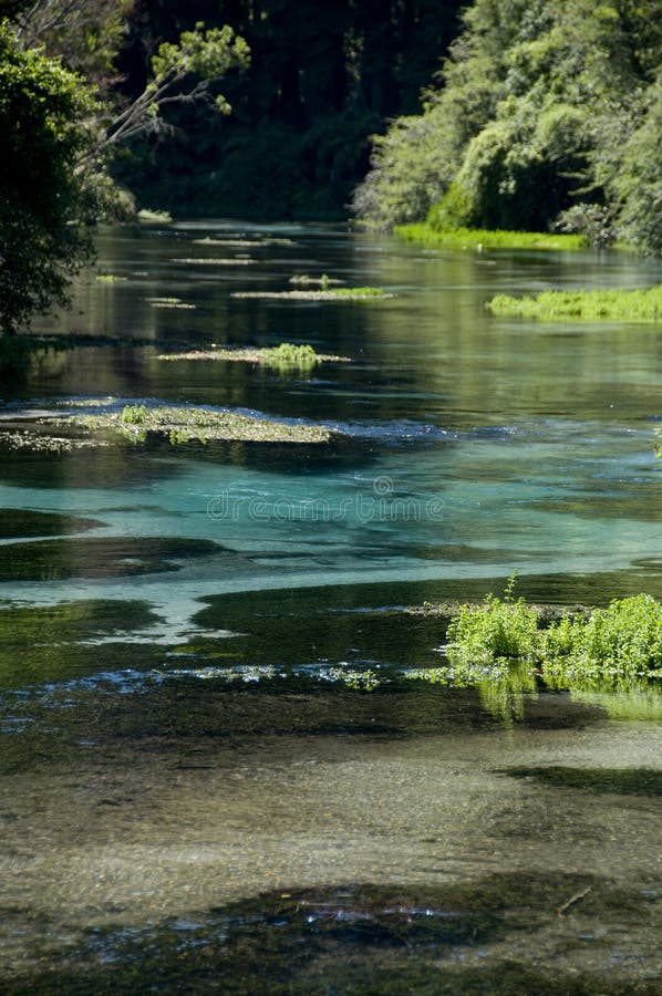 100 Pure New Zealand stock photo. Image of flowing, virgin - 7783434