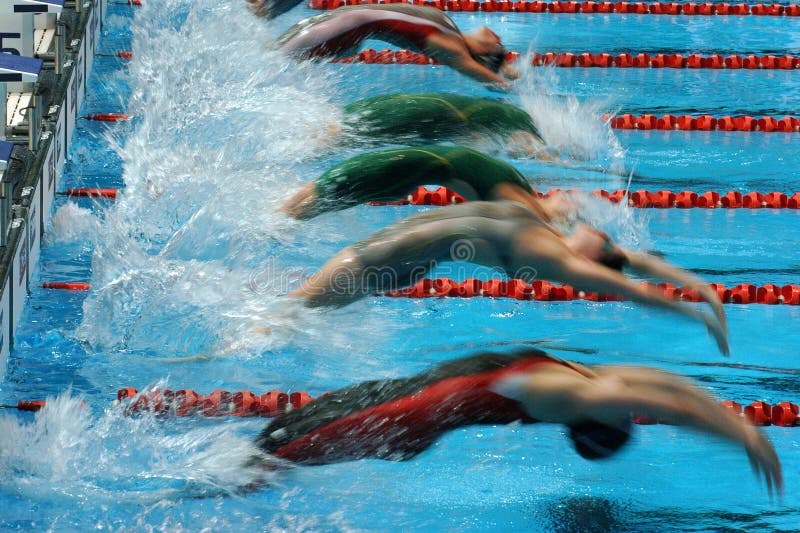 100m back semi start stock image. Image of race, swim - 1716073