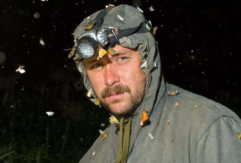 5 entomolog zdjęcie stock. Obraz złożonej z chwyt, insekt - 15208504