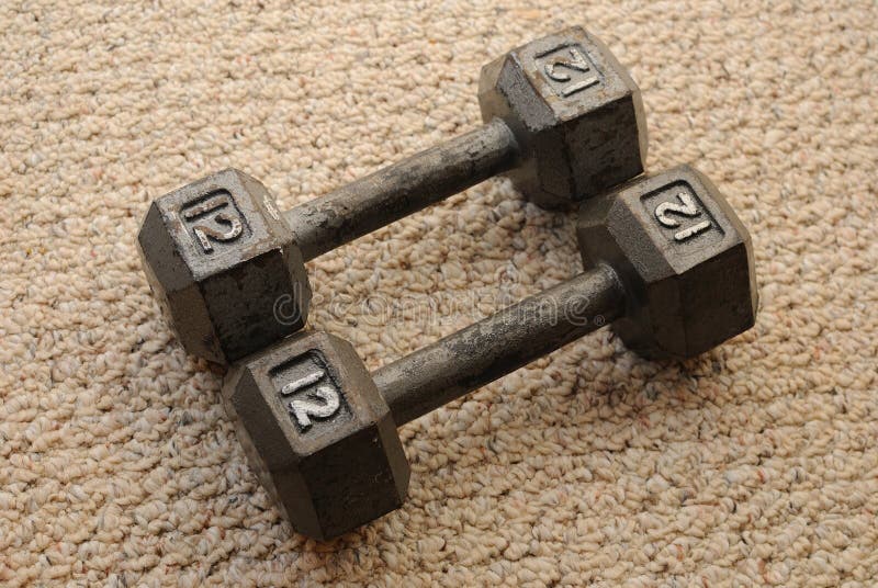 12 Pound Dumb Bells stock image. Image of berber, light - 17657381
