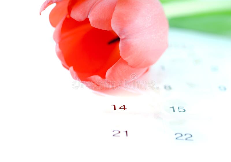 14th of February stock image. Image of valentine, ecstatic - 4147775