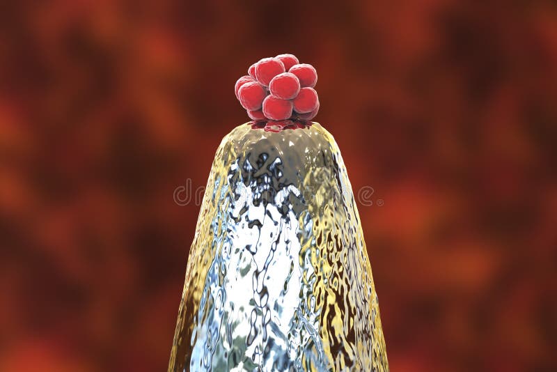 Embryo Cell Stock Illustrations – 3,911 Embryo Cell Stock Illustrations ...