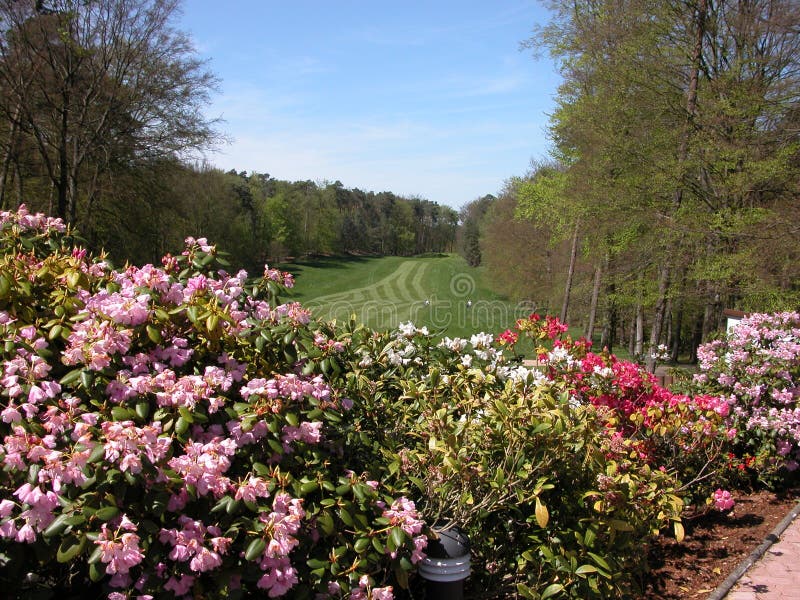 18th Hole at Wooldlawn Golf Course Stock Image - Image of skies, trees ...