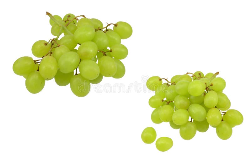 Oval Shaped Green Grapes Bunch Isolated on White Background Stock Photo ...