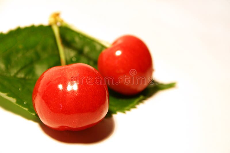 2 kersen stock foto. Image of geïsoleerd, verlof, kersen - 140850