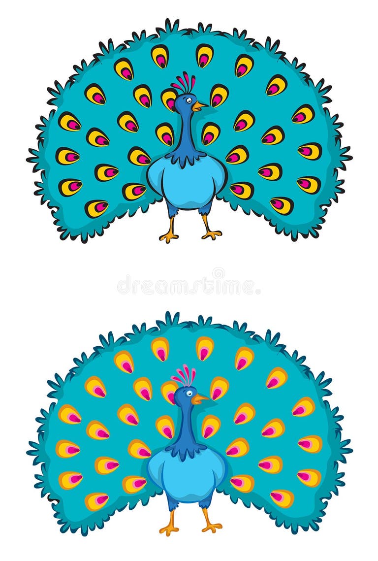 Peacocks Tail Stock Illustrations 2550 Peacocks Tail Stock Illustrations Vectors And Clipart