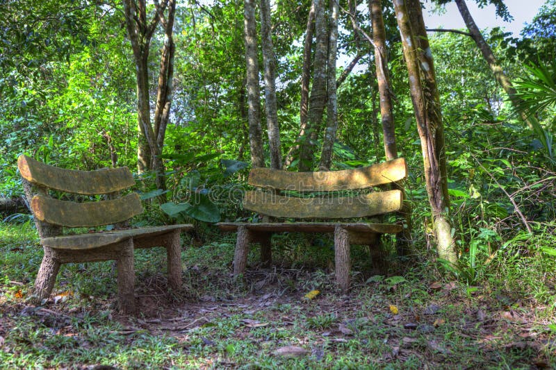 2 Wooden Benches in a Forest Stock Image - Image of autumn, outdoor ...