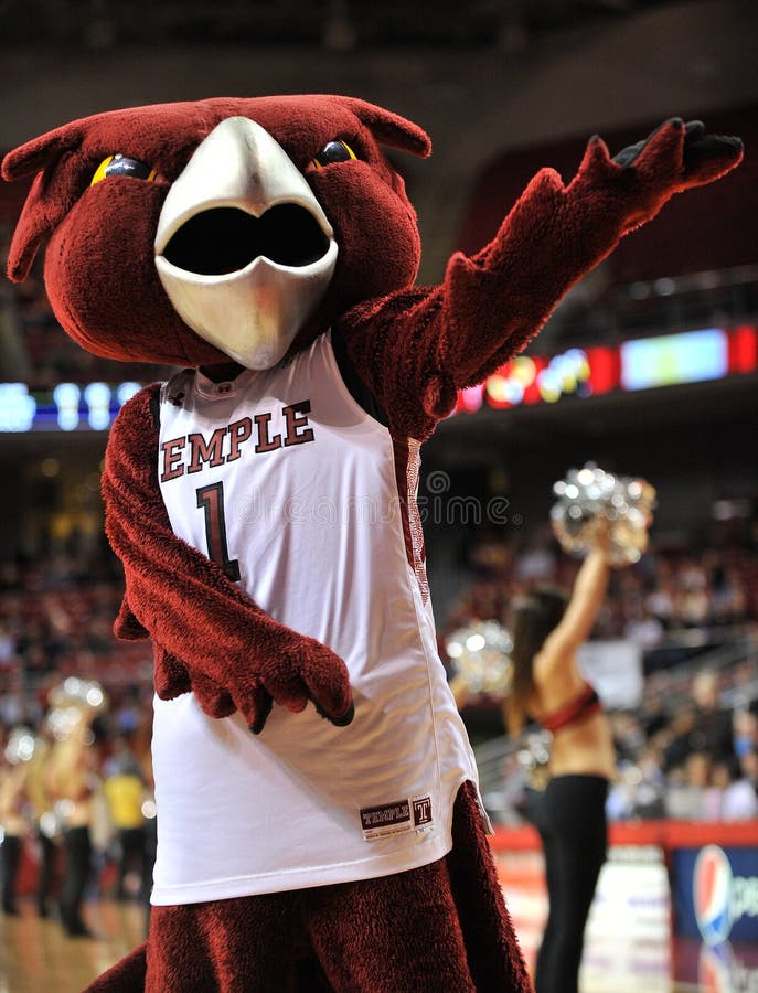 Temple mascot the Owl editorial photo. Image of attack - 26599131