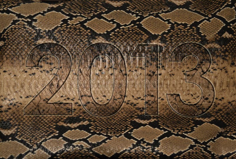 Snake calendar for 2013 stock vector. Illustration of graphic - 25777594